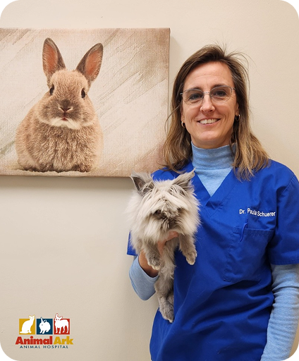 About Us - Animal Ark Animal Hospital